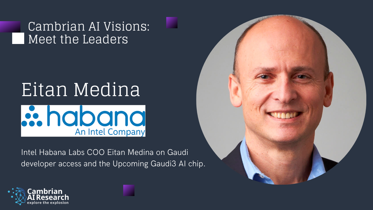 Habana Labs COO Eitan Medina on Gaudi Developer and the Gaudi3 AI Chip ...